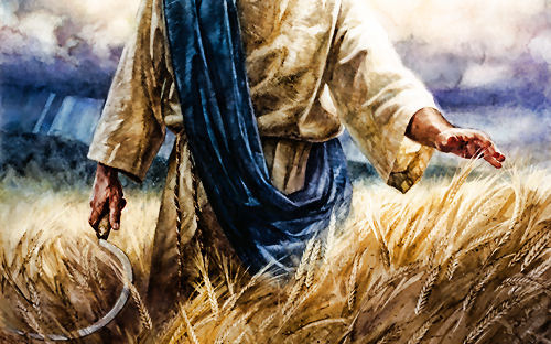 Morning Prayer: 23 Oct – Revelation 14:14-16 ~ harvest time – The ...
