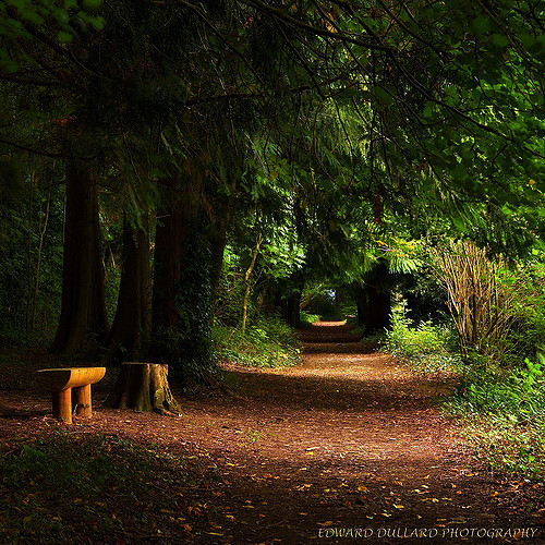 Morning Prayer: Thu, 12 Jan – Psalm 119:165; Proverbs 28:10; 1 ...