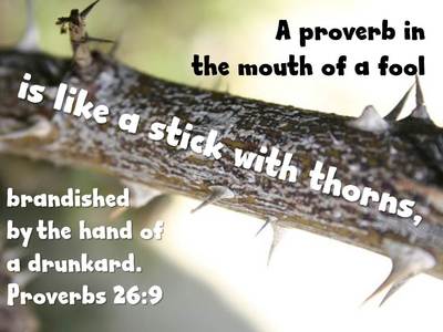 Morning Reading & Prayer: Wed, 20 Sep – Proverbs 26-27 ~ the folly of ...