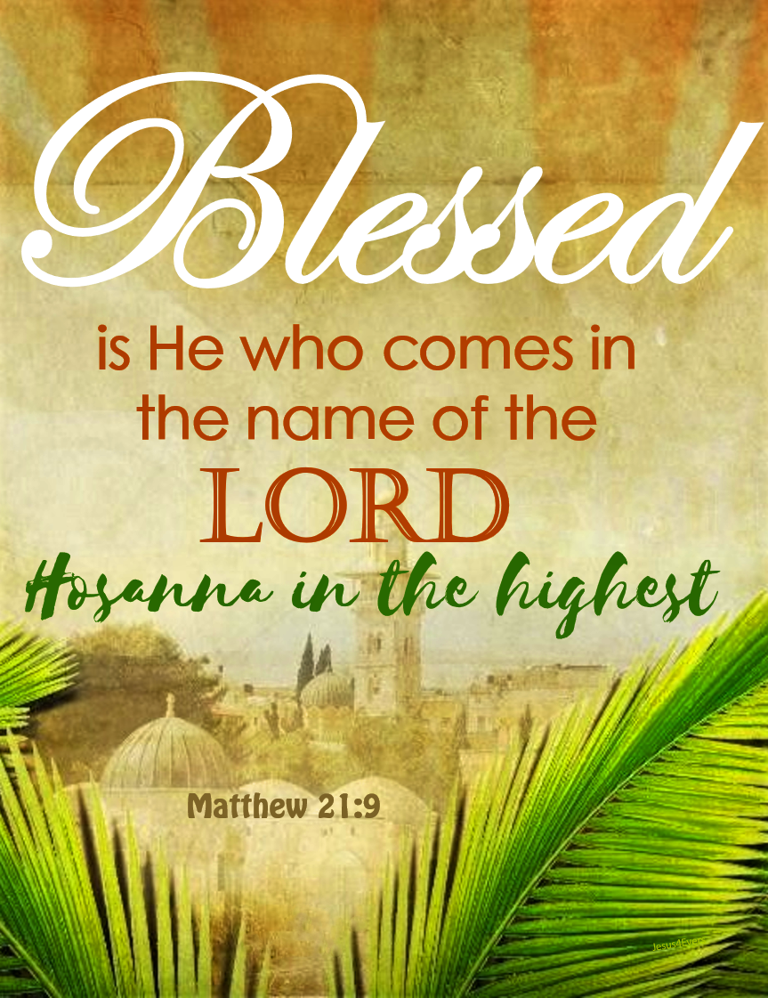 Matthew 21 Verses 1 To 11