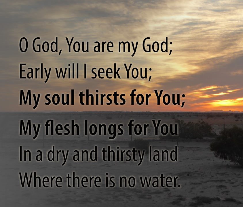 Psalms Morning Prayer Lauds: Morning Prayer (Liturgy Of The Hours)