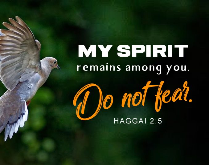 Lenten Prayer: 5th Wednesday, 24 Mar 2021 – Psalm 119:9-16; Haggai 2:1 ...