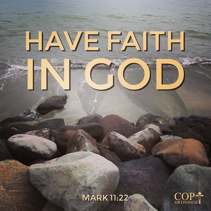 The Lesson from the Withered Fig Tree – The Peanut Gallery