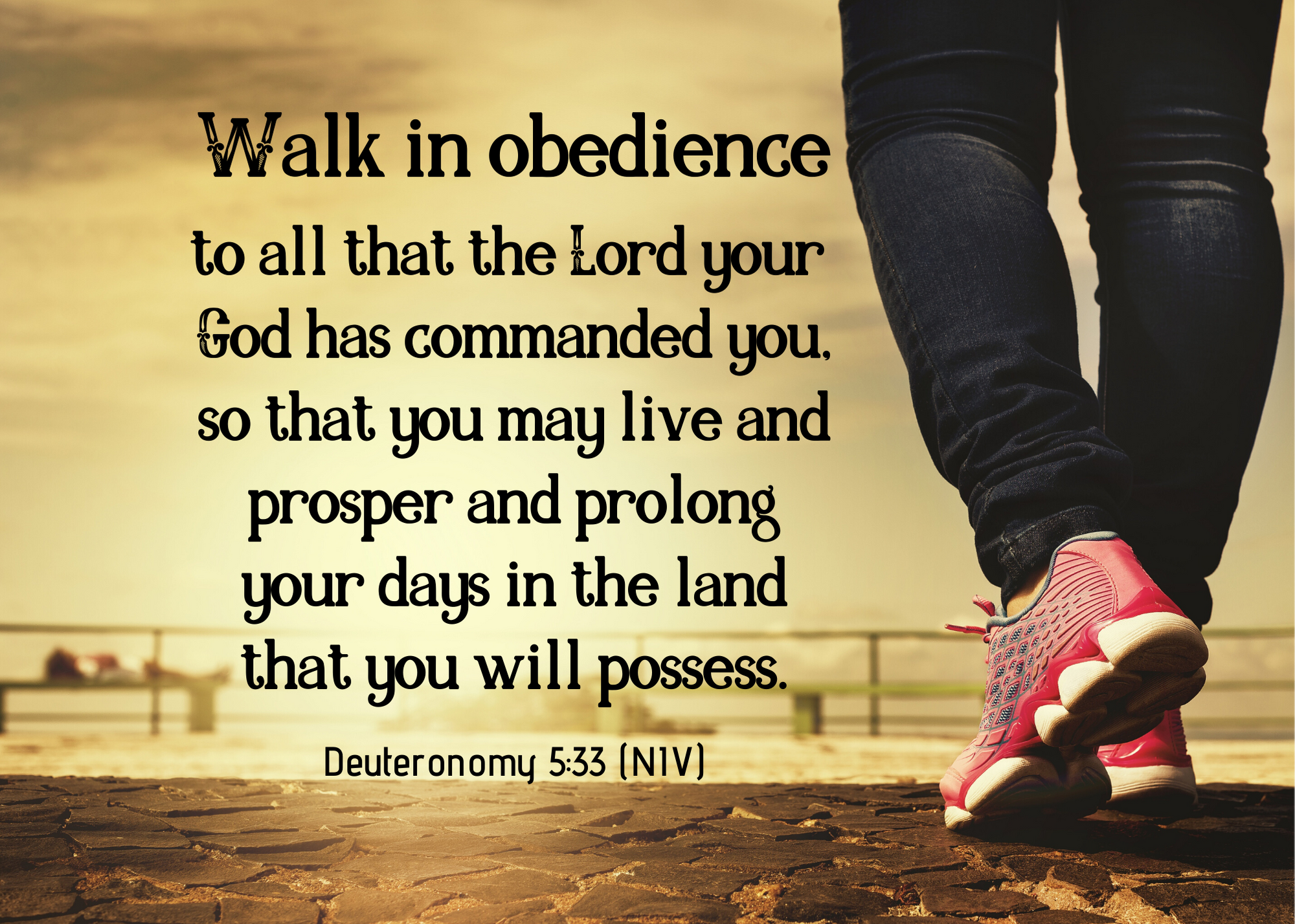 Easter Season | Tuesday 16 May 2023: Psalm 93; Deuteronomy 5:22-33; 1 ...