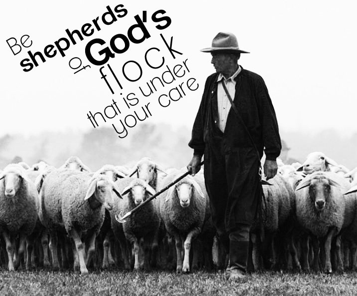 Easter Season | Monday 01 May 2023: Psalm 100; Ezekiel 34:17-23; 1 ...