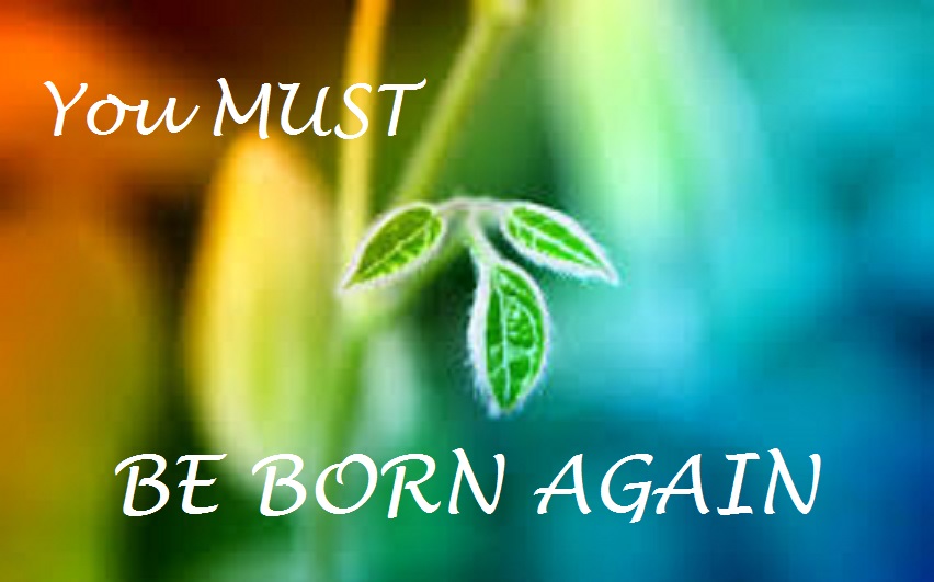 The Lenten Season | Saturday 09 Mar 2024: Psalm 107:1-3, 17-22; Numbers ...